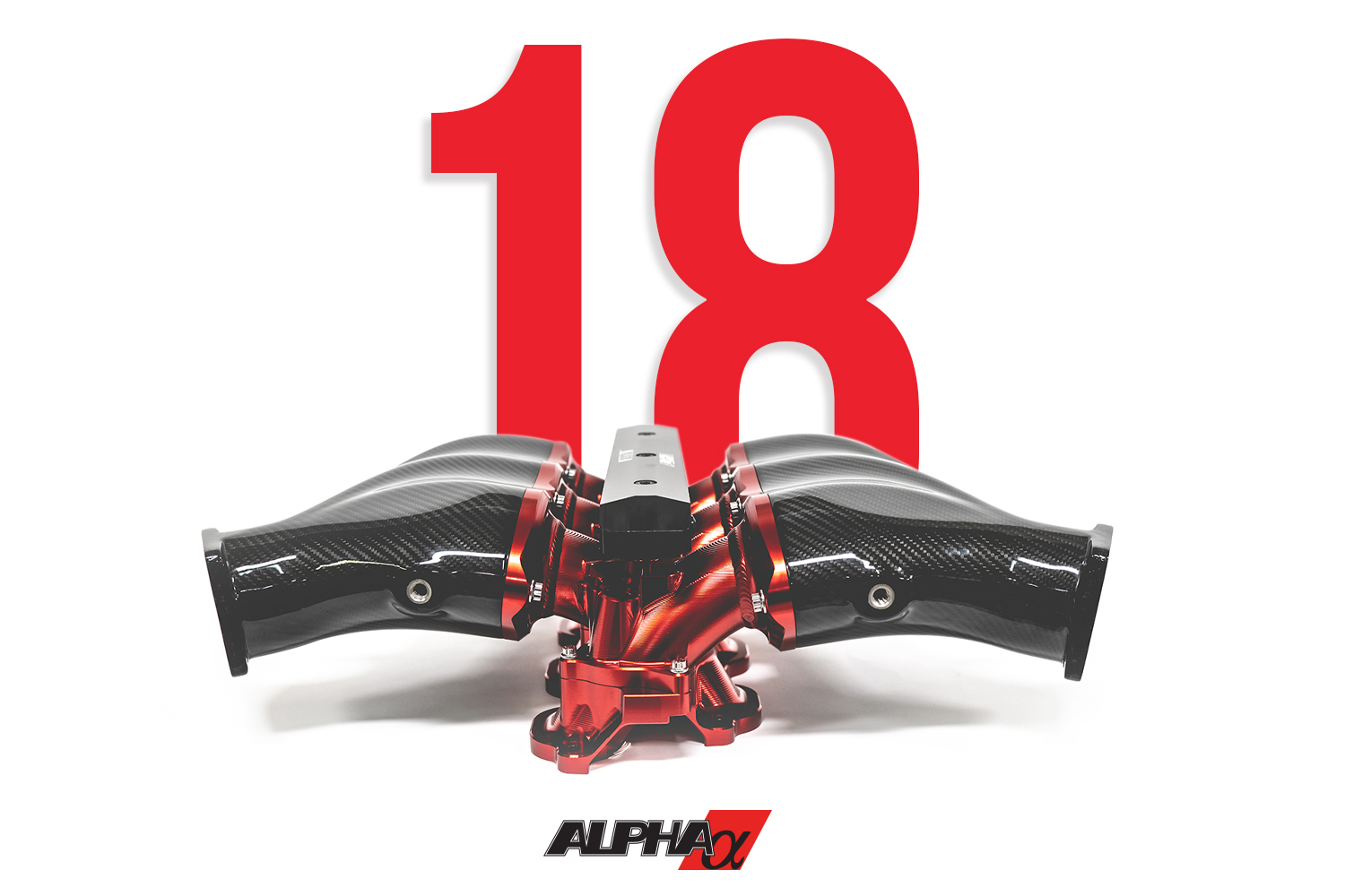 R35 GTR 18 Injector Carbon Fiber Manifold - AMS Performance