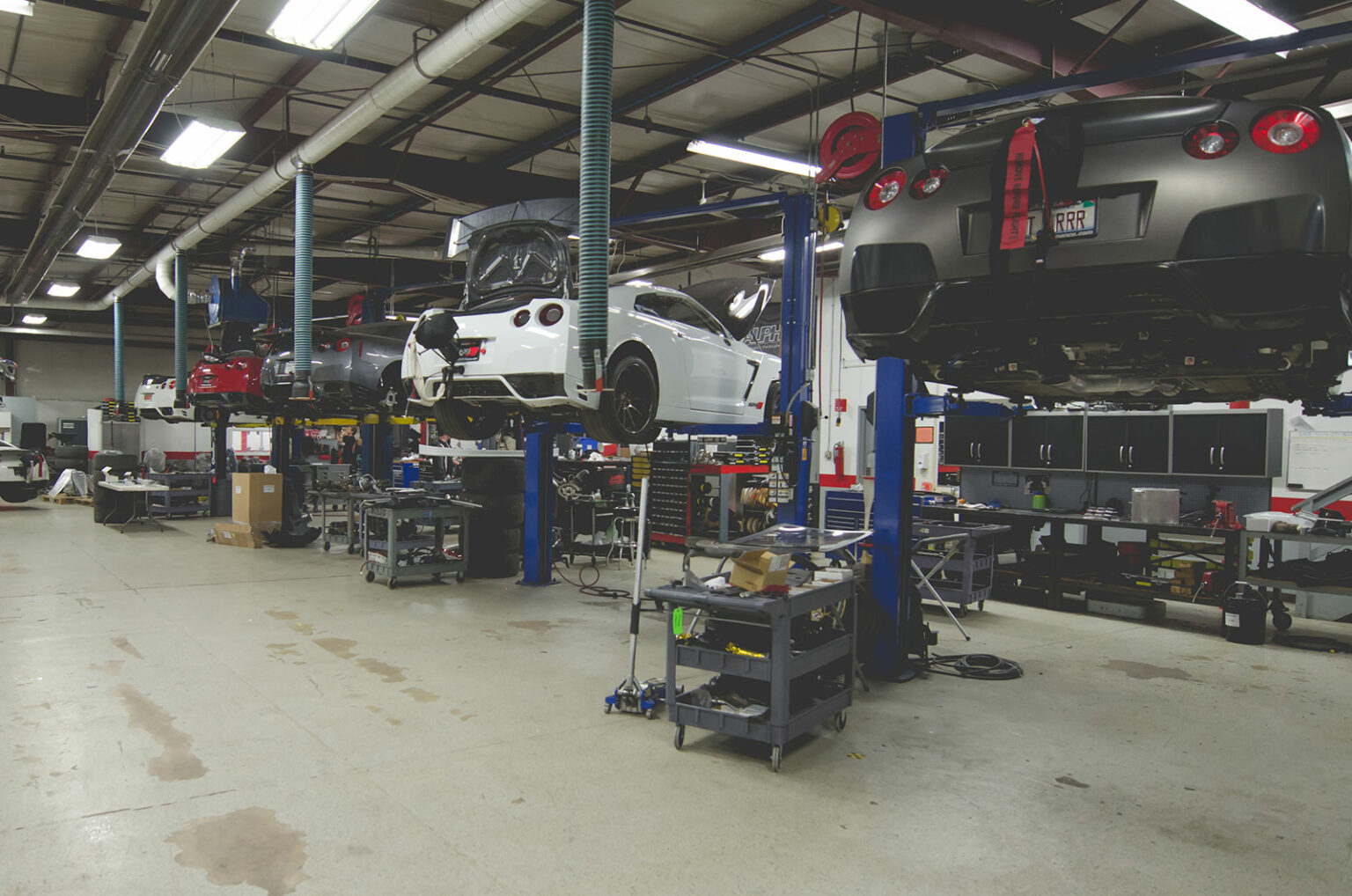 Services - AMS Performance