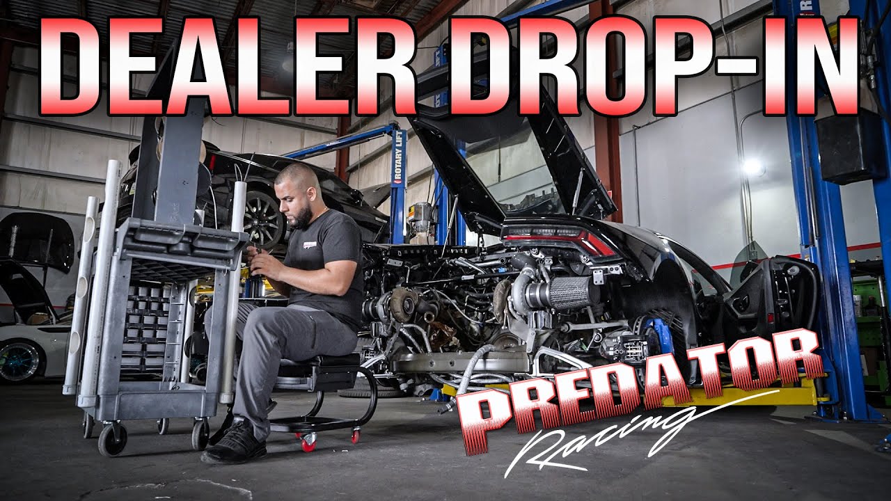 DEALER DROP-IN | Predator Performance - AMS Performance